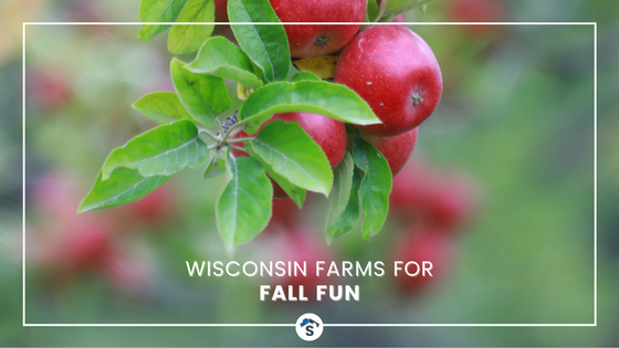 Wisconsin Farms for Fall Fun | Stark Company Realtors