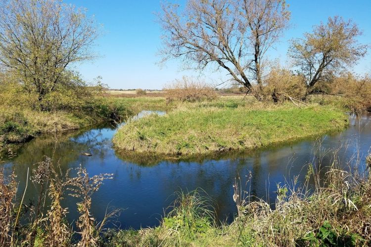 DeForest, WI Homes for Sale | DeForest Realtors - Stark Company Realtors