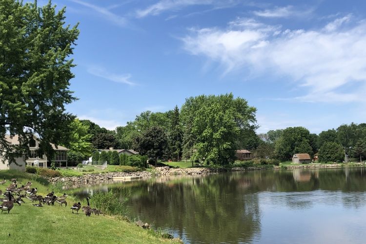 Marshall, WI Homes for Sale | Marshall Realtors - Stark Company Realtors